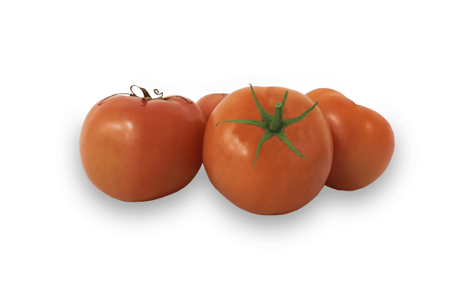 Our Products – Marengo Foods